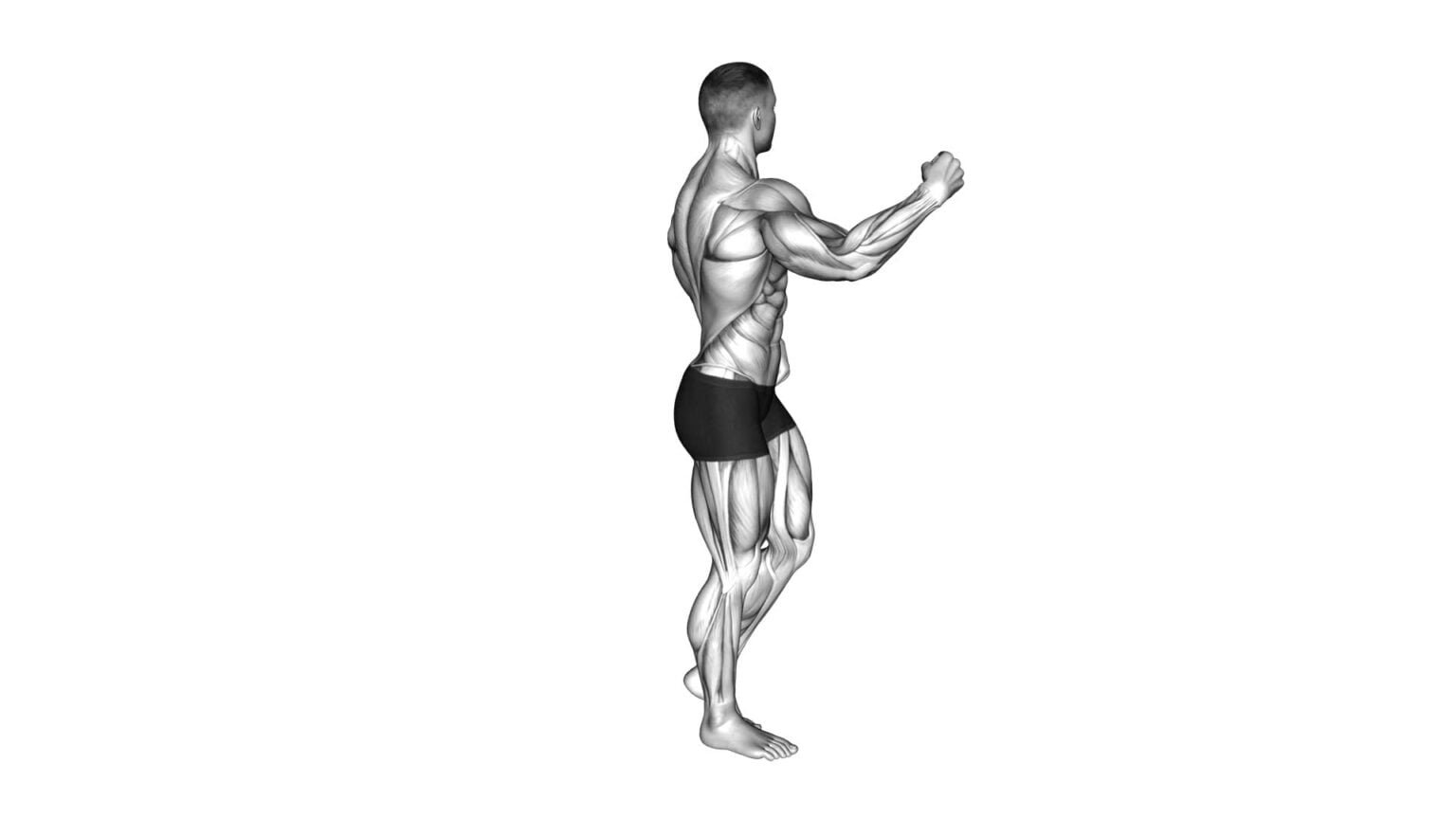 Female Bodybuilding Pose: Video Guide & Tips For Perfect Form