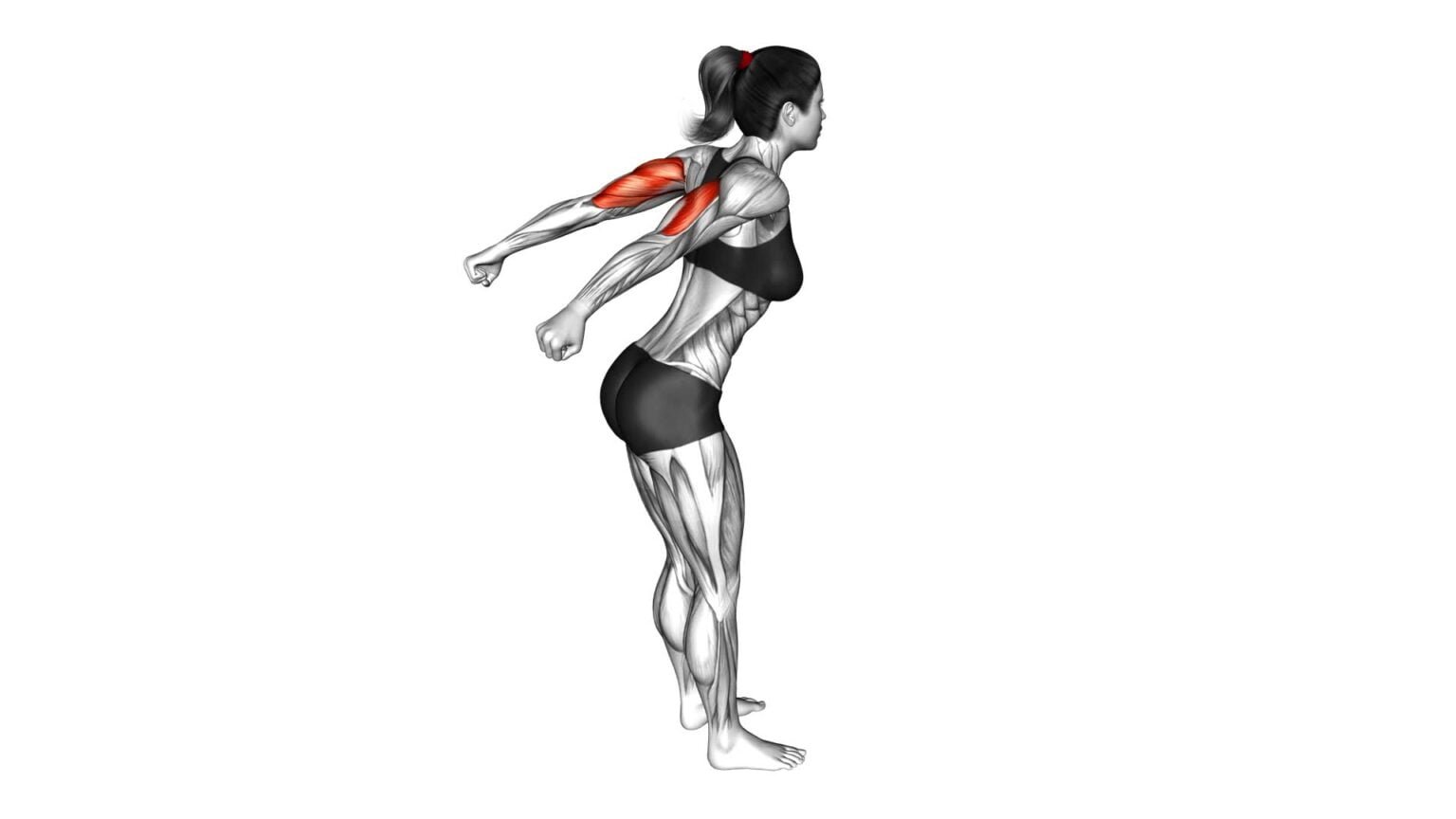 Female Pulsing Donkey Kickback: Video Guide & Tips For Effective Exercise