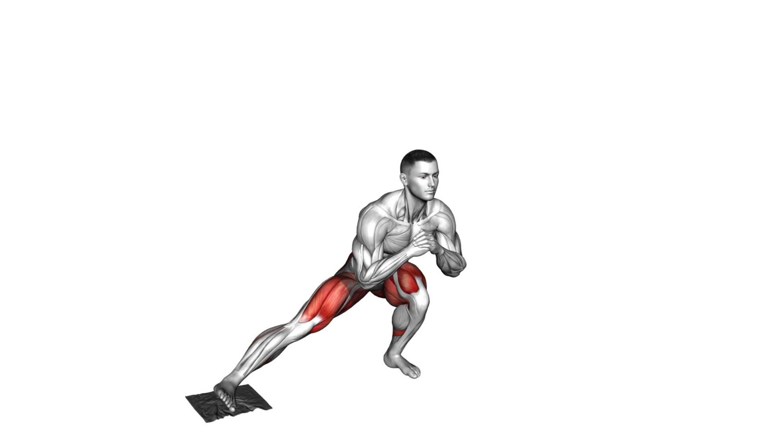 Straight Leg Kickback Exercise Guide & Tips - Male Kneeling Video