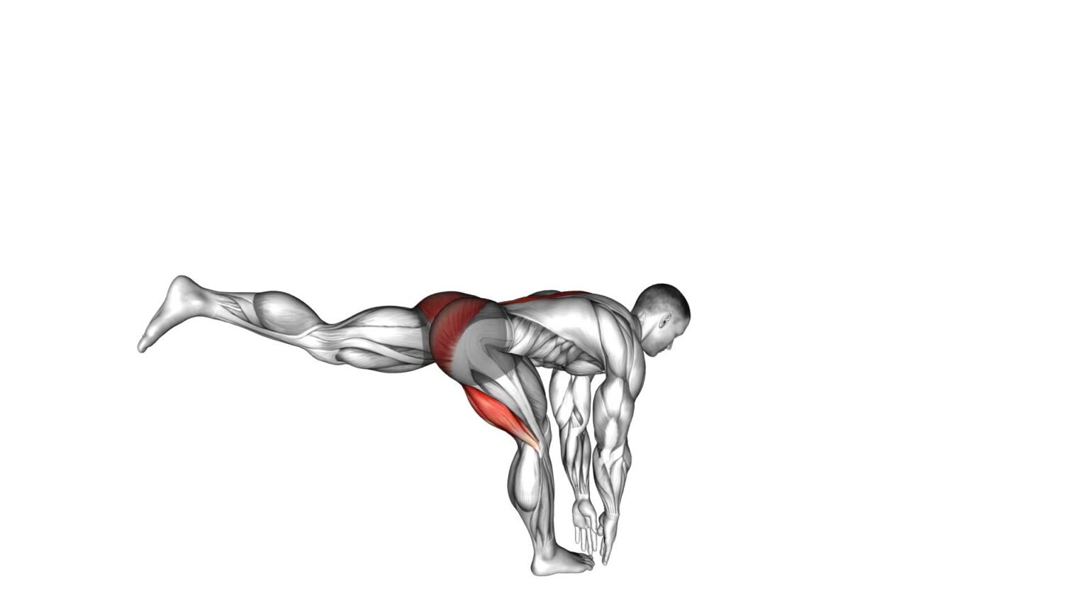 Bodyweight Single Leg RDL: Ultimate Guide & Tips
