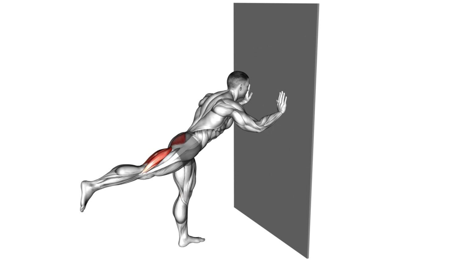 Bodyweight Standing Hip Extension - Video Exercise Guide & Tips