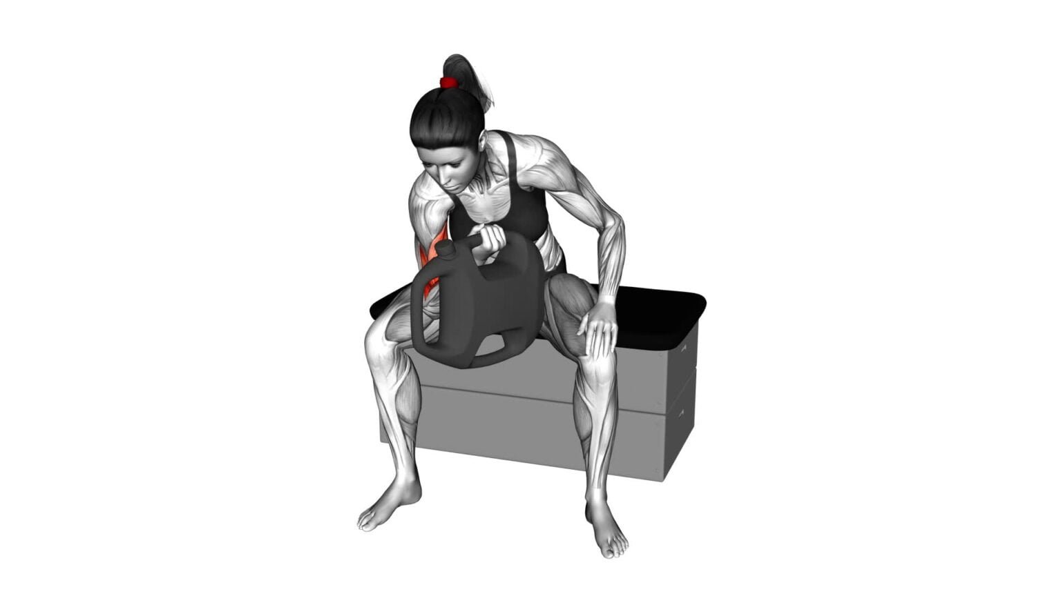 Bottle Weighted Biceps Curl (Female) - Video Guide & Tips