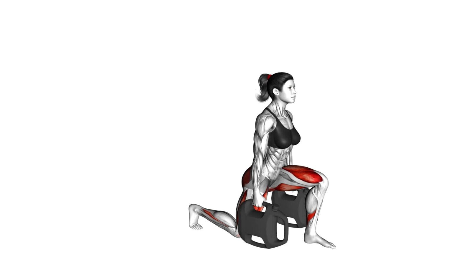 Weighted Forward Lunge For Women - Video Guide & Tips