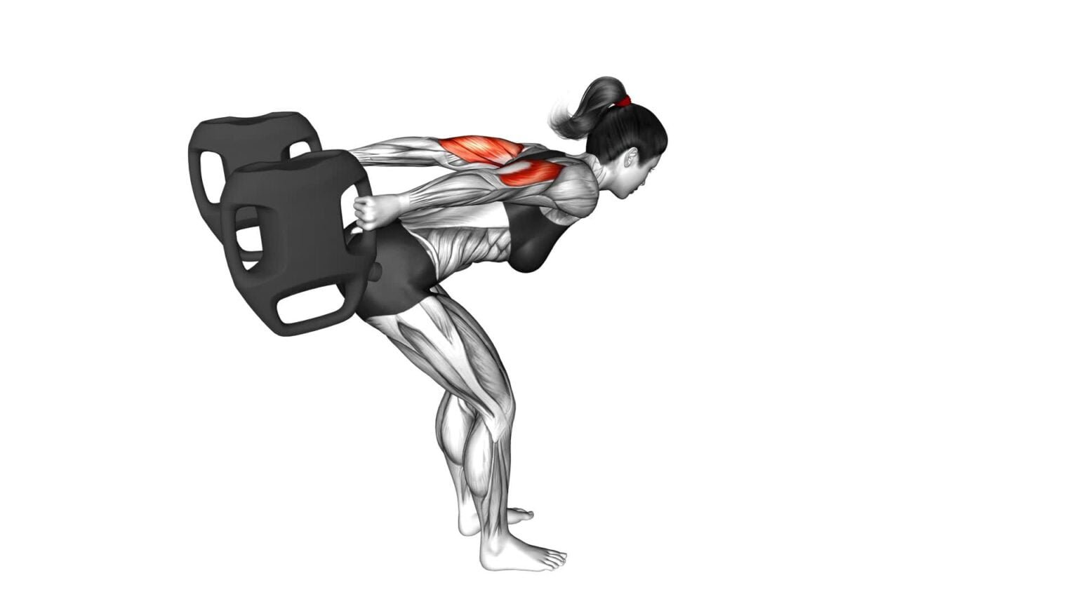 Effective Bottle Weighted Two Arms Kickback (Female) - Video Guide & Tips