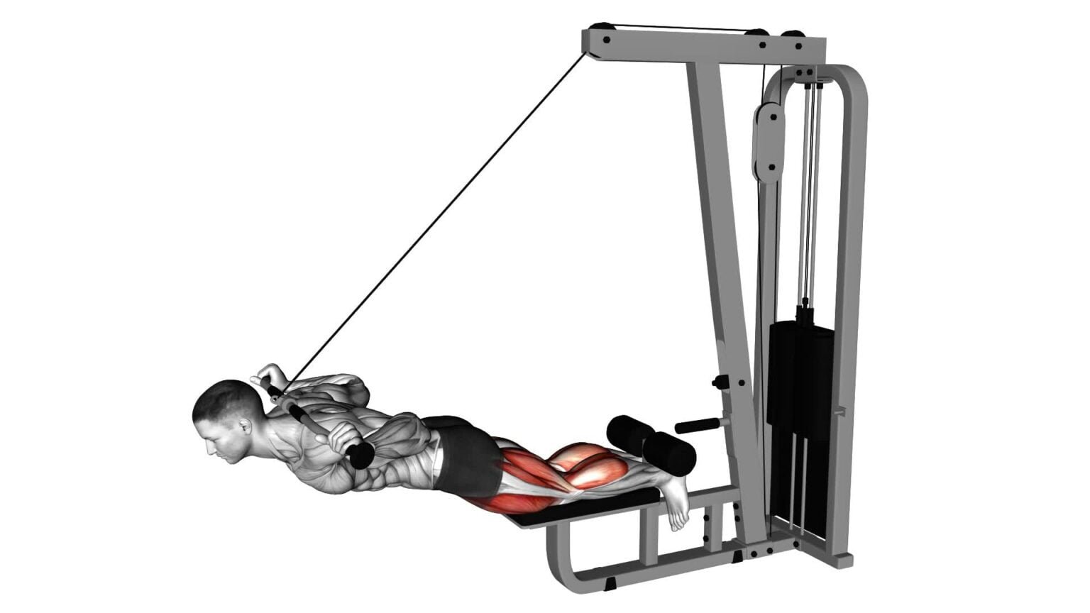 Cable Assisted Inverse Leg Curl (Female) - Exercise Guide & Tips