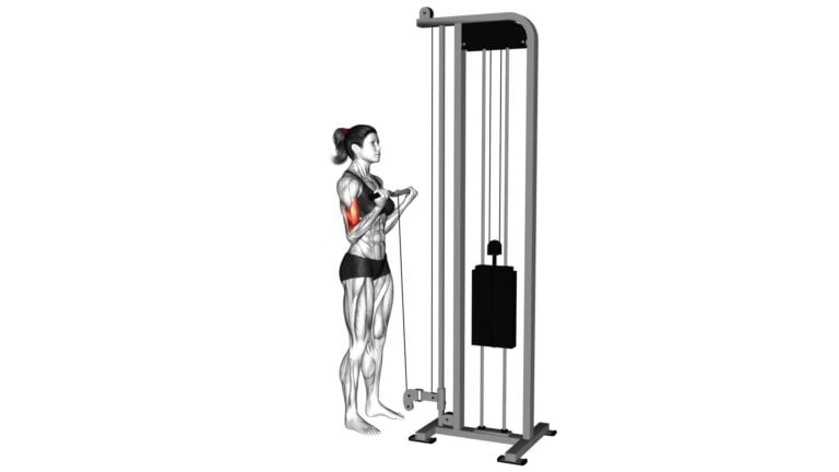 Cable Biceps Curl (sz-bar) - Exercise Guide & Tips