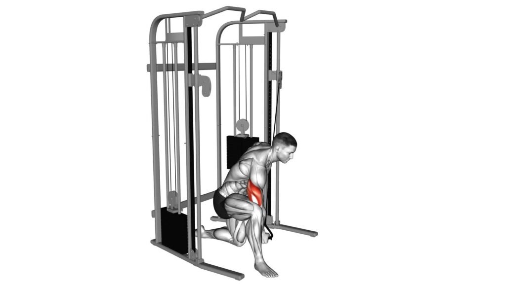 Cable Concentration Extension (on Knee) - Exercise Guide & Tips