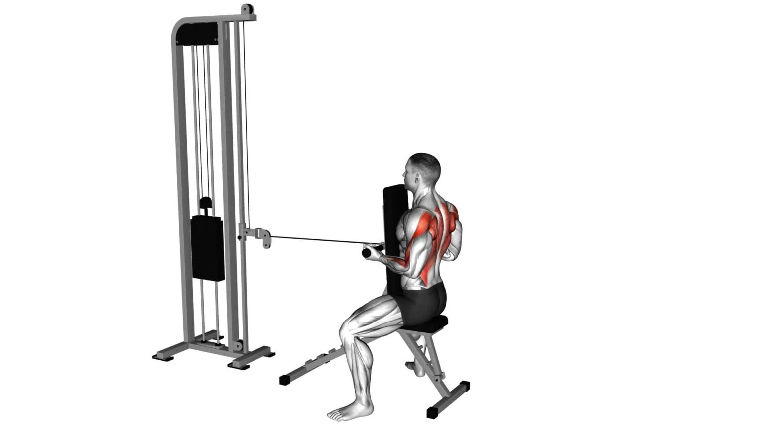 Cable Front Seated Row: Ultimate Guide & Tips