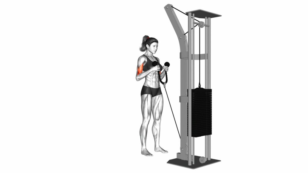 Cable Hammer Curl: Ultimate Guide & Tips