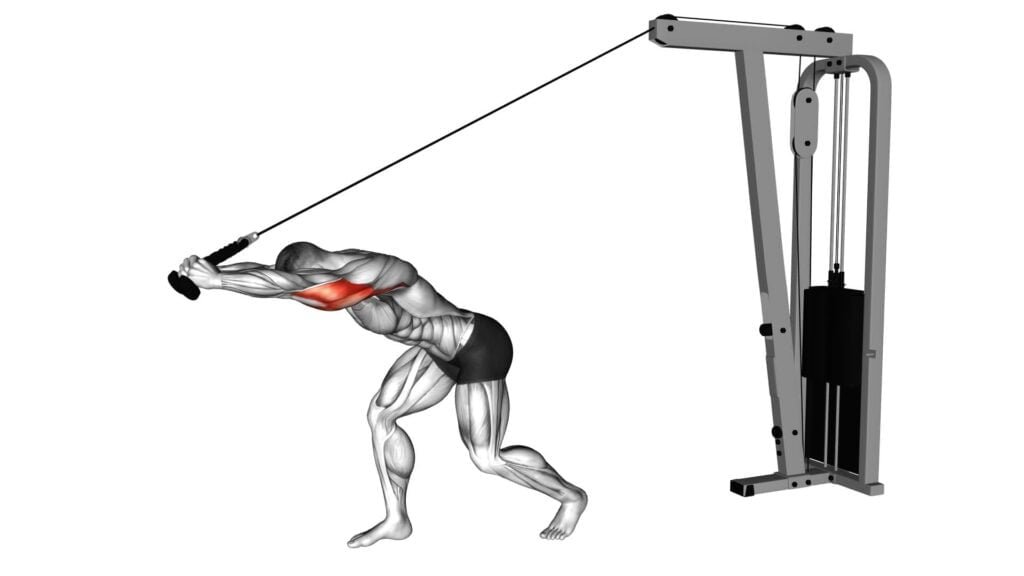 Cable High Pulley Tricep Extension - Video Guide & Tips