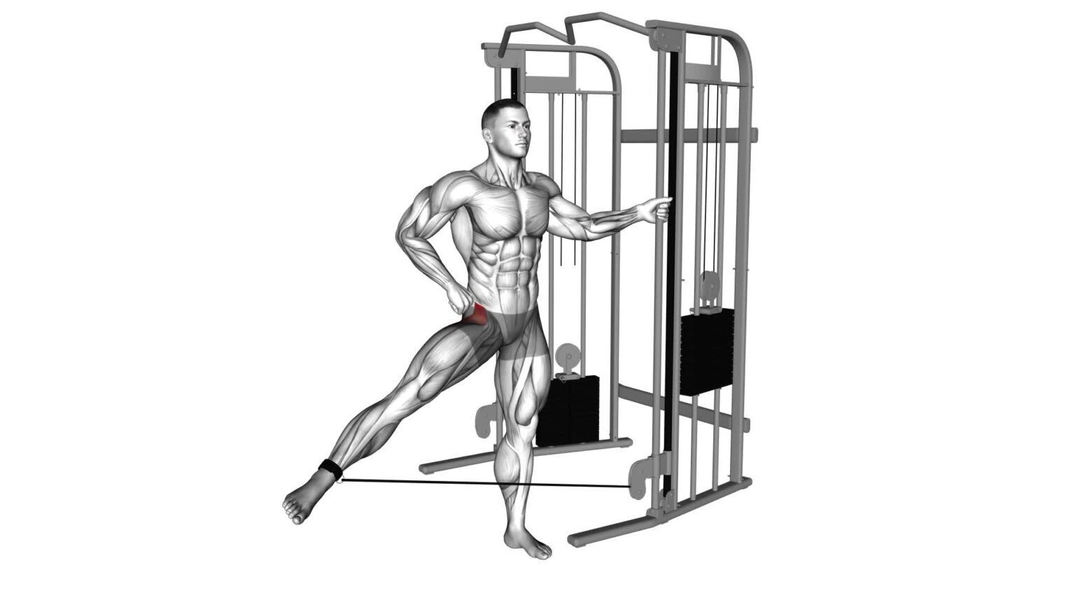 Cable Hip Abduction (version 2) (male) - Exercise Guide & Tips
