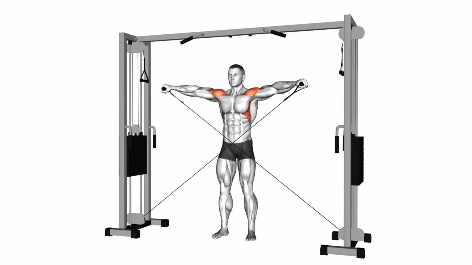 Cable Leaning Lateral Raise: Exercise Guide & Tips