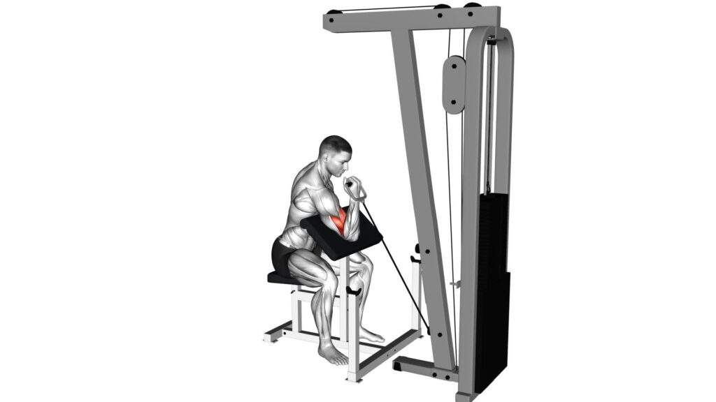 Cable One Arm Preacher Curl: Video Guide & Tips
