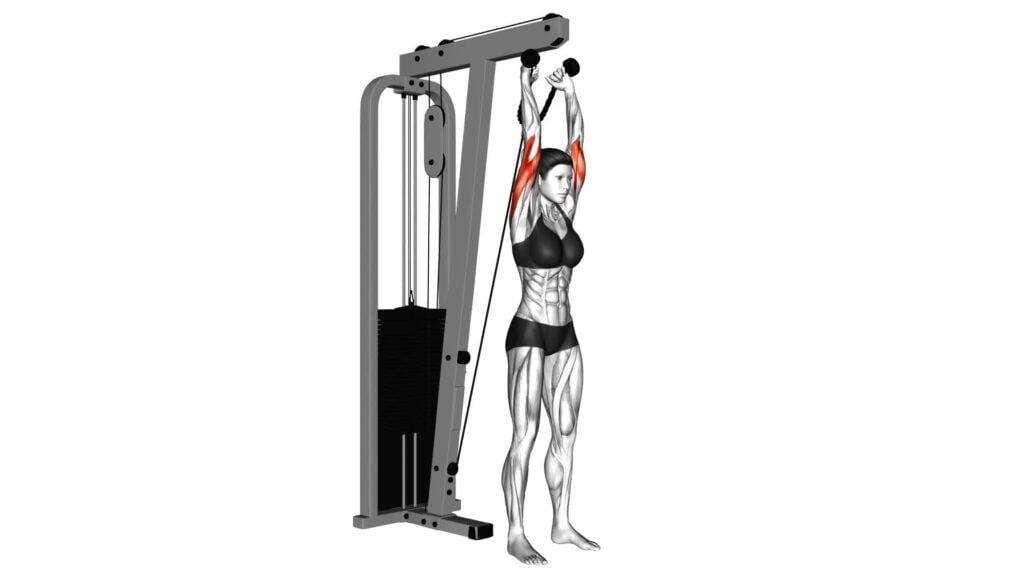 Cable Overhead Triceps Extension Rope Attachment Female Video Exercise Guide And Tips
