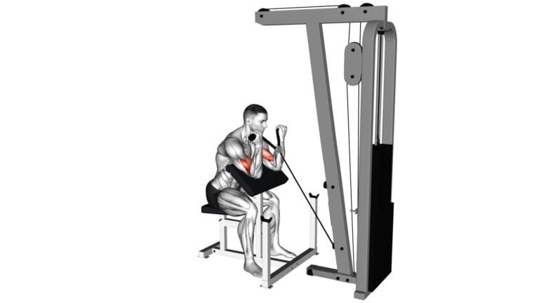 Cable Preacher Curl: Ultimate Guide & Tips