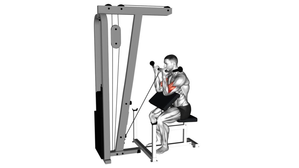 Cable Preacher Curl: Ultimate Guide & Tips For Perfect Form