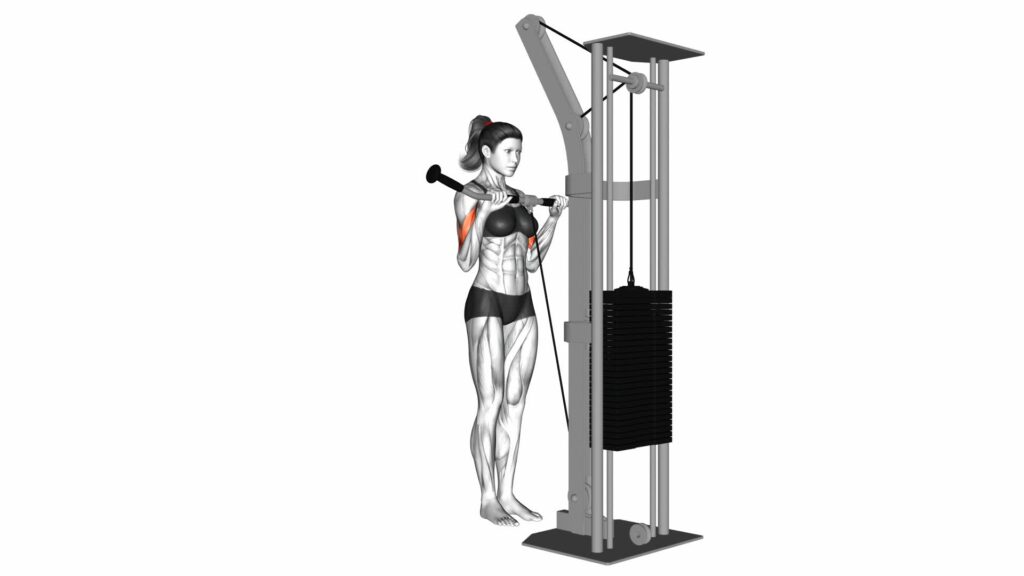 Female Cable Reverse Curl: Ultimate Exercise Guide & Tips