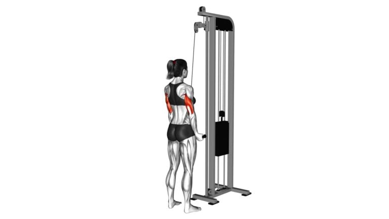 Female Cable Reverse Grip Triceps Pushdown (Sz Bar) - Video Guide & Tips