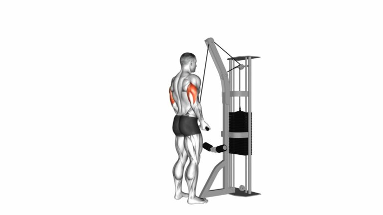 Build Strong Triceps With Cable Reverse Grip Triceps Pushdown (sz-bar ...