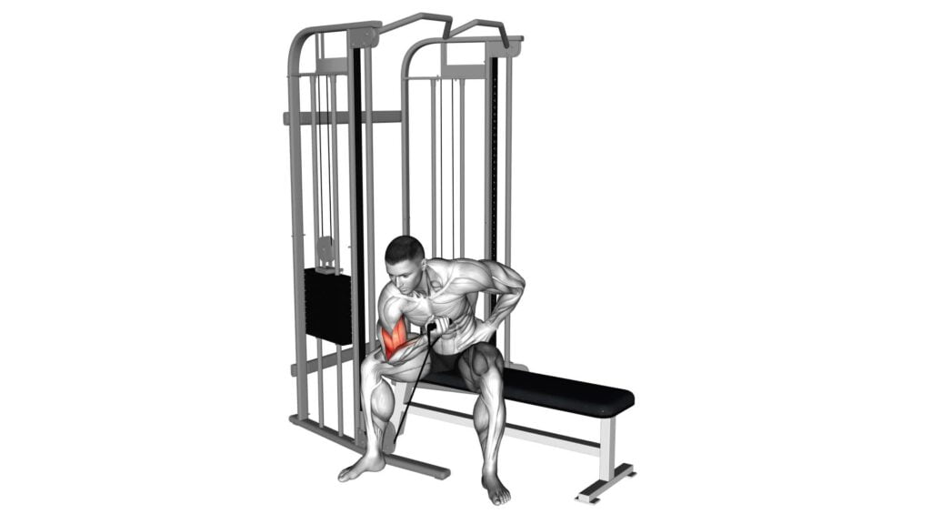 Cable Seated Concentration Curl: Video Guide & Tips