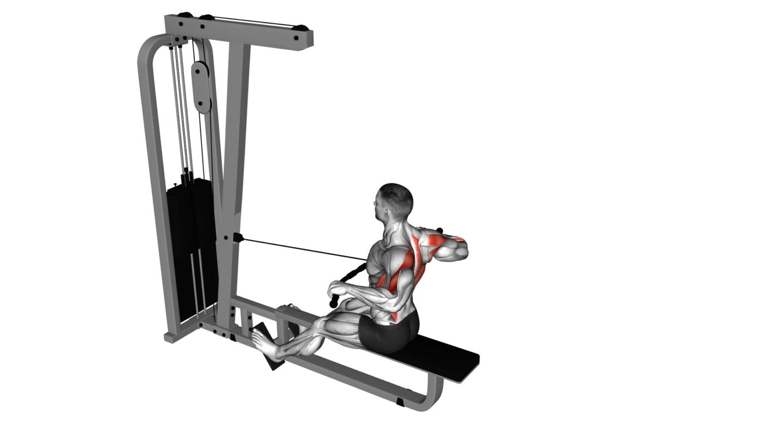 Cable Seated Wide-grip Row: Video Guide & Tips