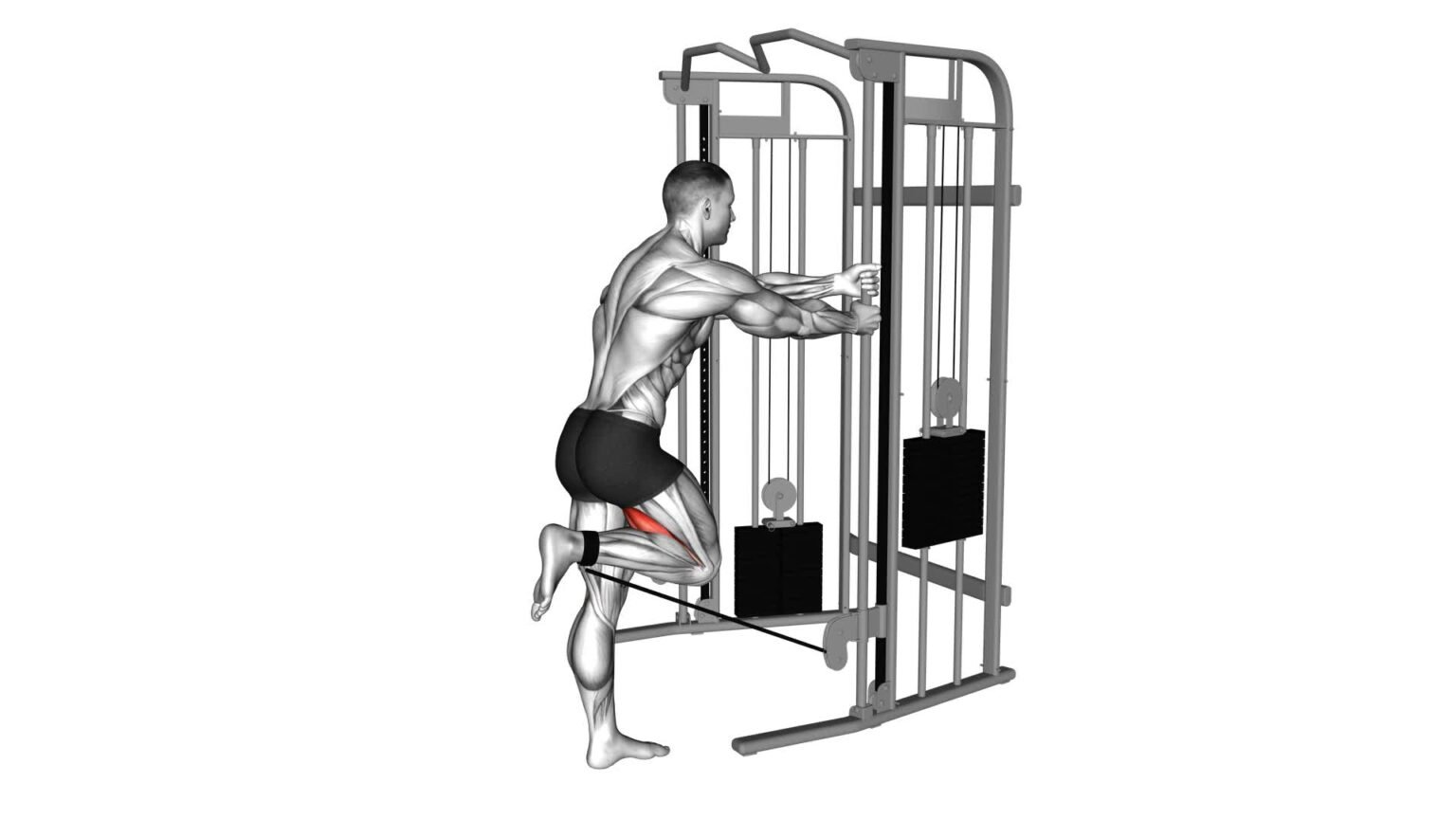 Cable Standing Leg Curl: Ultimate Guide & Tips
