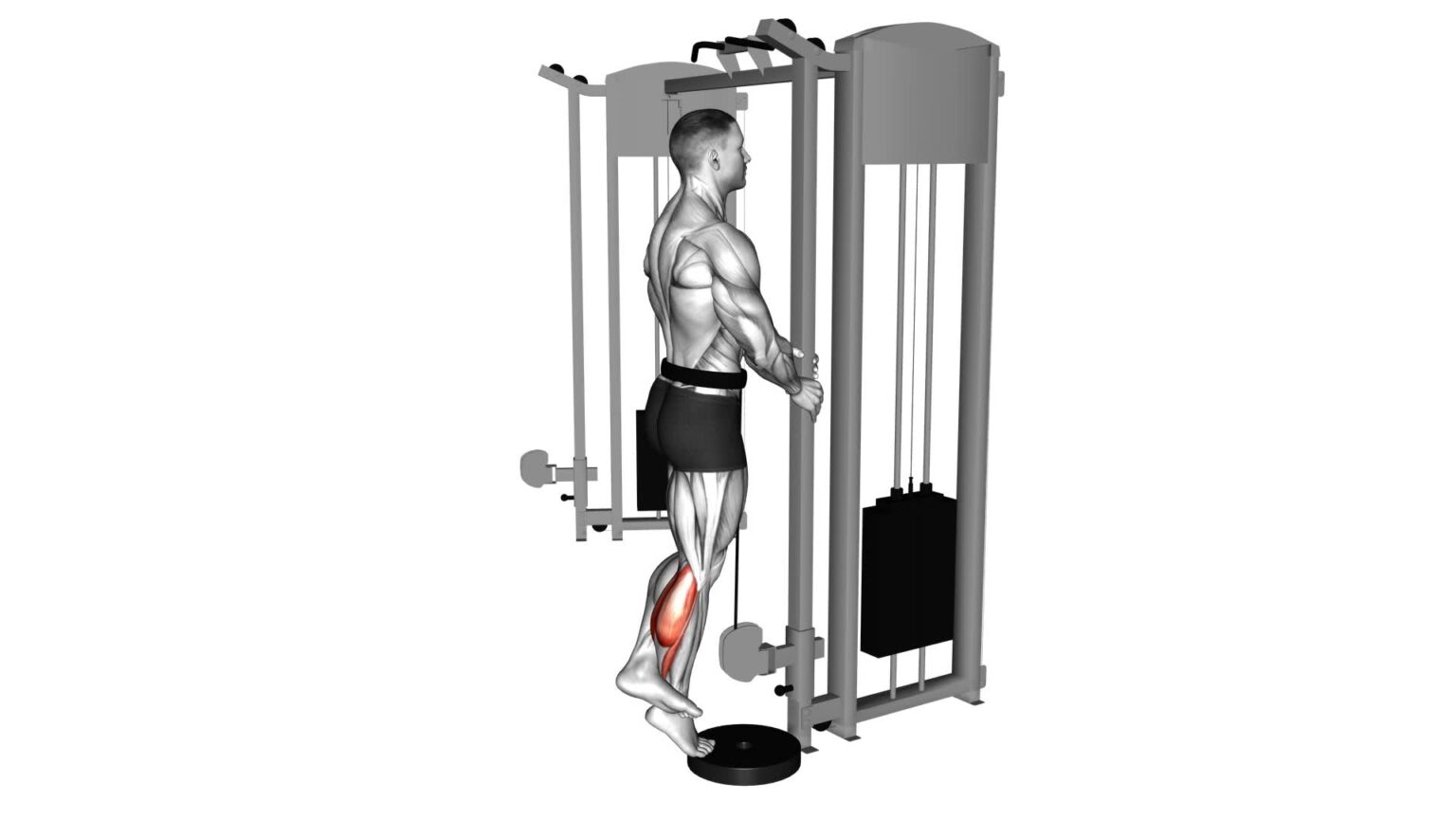 Cable Standing Calf Raise: Video Guide & Tips