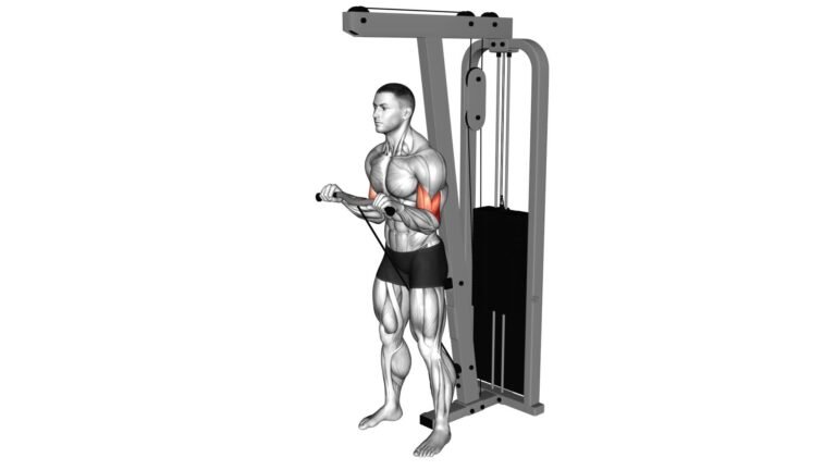 Cable Reverse Curl (sz Bar) - Video Guide & Tips