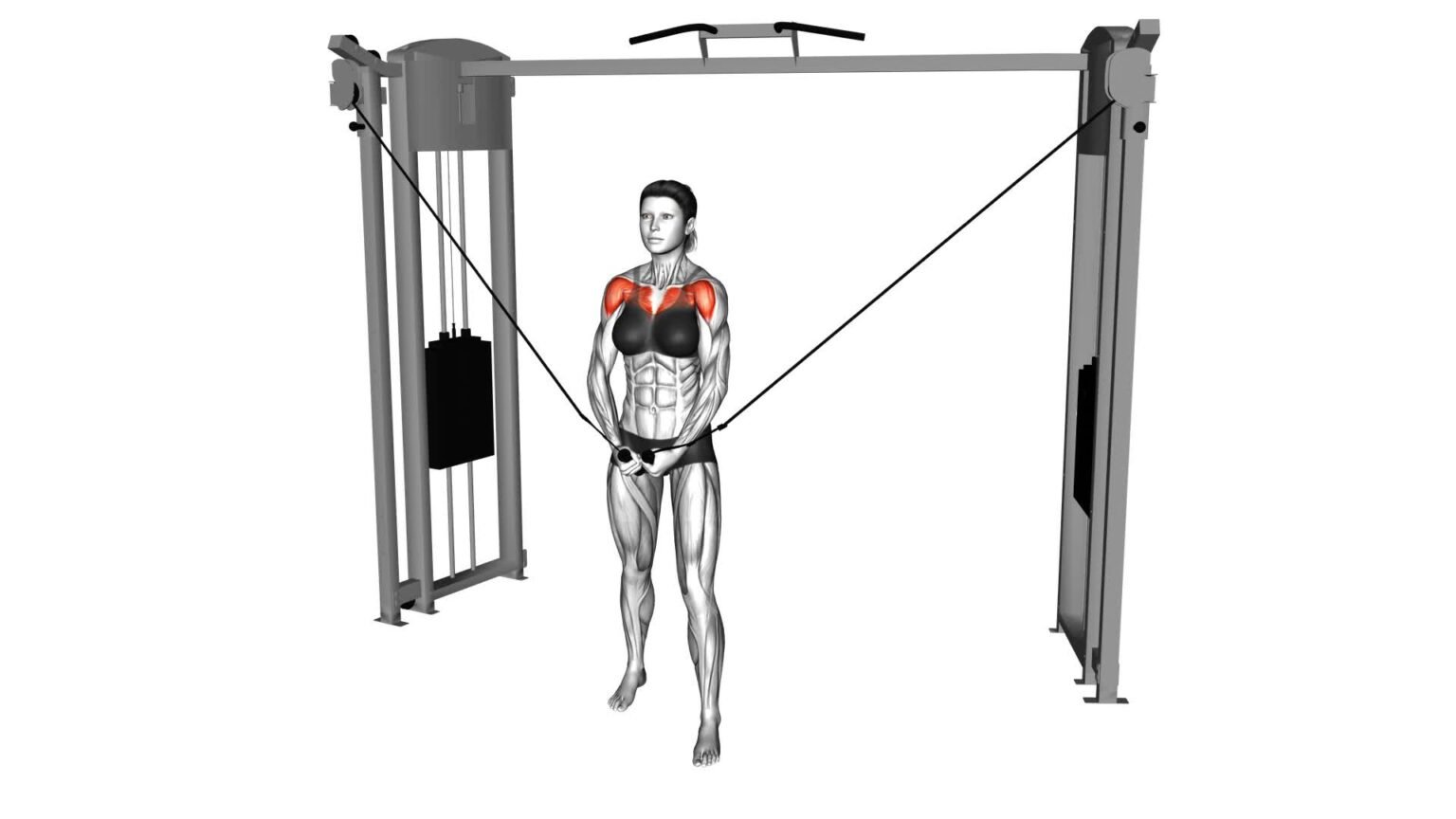 Cable Standing Crossovers (female) - Video Guide & Tips