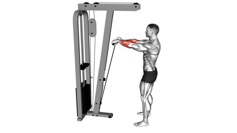 Cable Standing Wrist Roll: Ultimate Exercise Guide & Tips