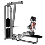 Cable Seated Single Arm Row (female) - Exercise Guide & Tips