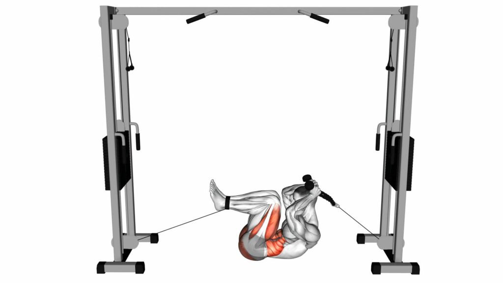 Cable Tuck Reverse Crunch: Ultimate Exercise Guide & Tips