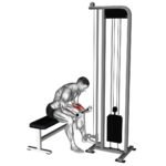 Cable Reverse Wrist Curl: Video Guide & Tips