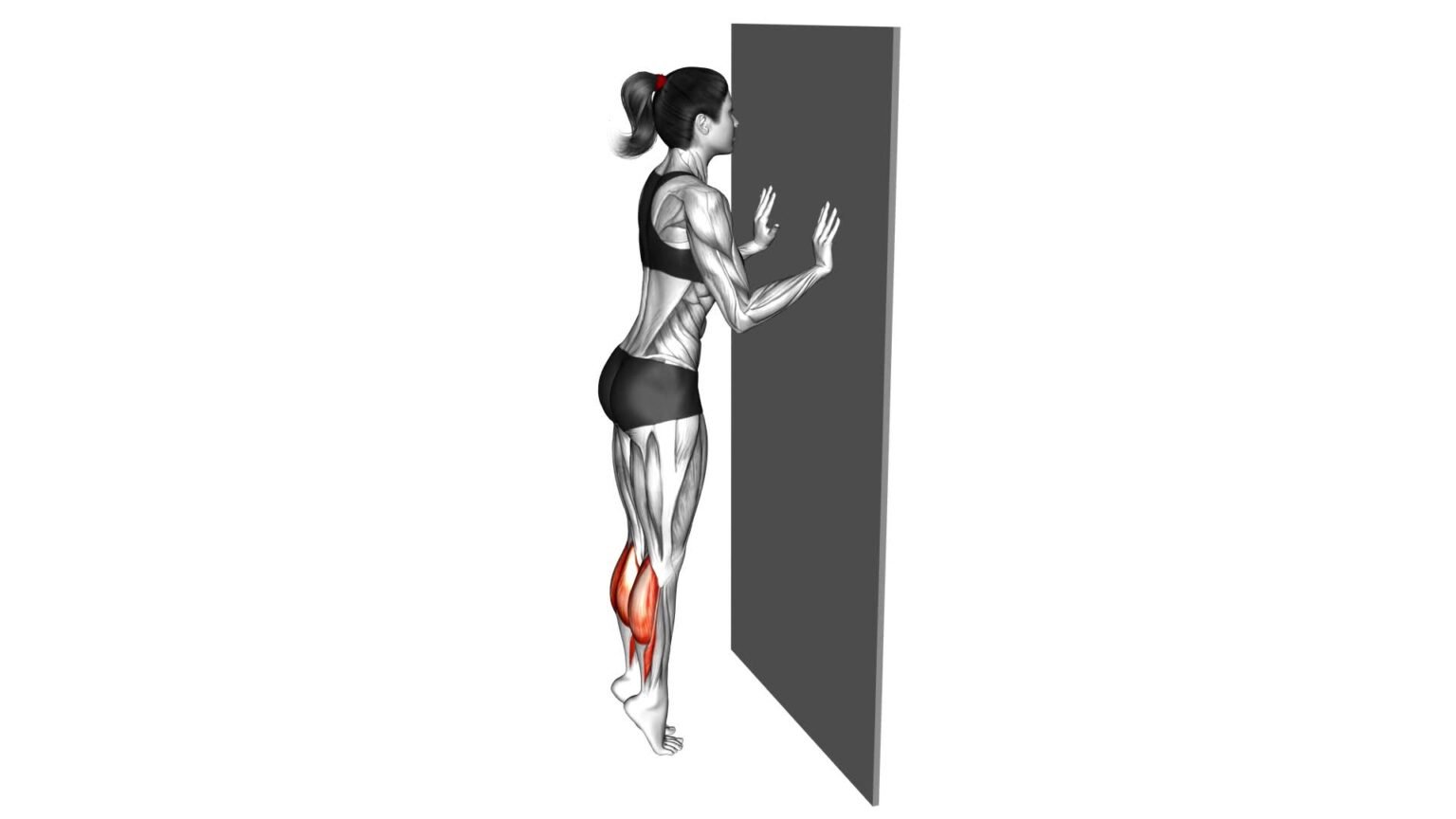 Wall-Supported Calf Raise: Video Guide & Tips For Female Fitness