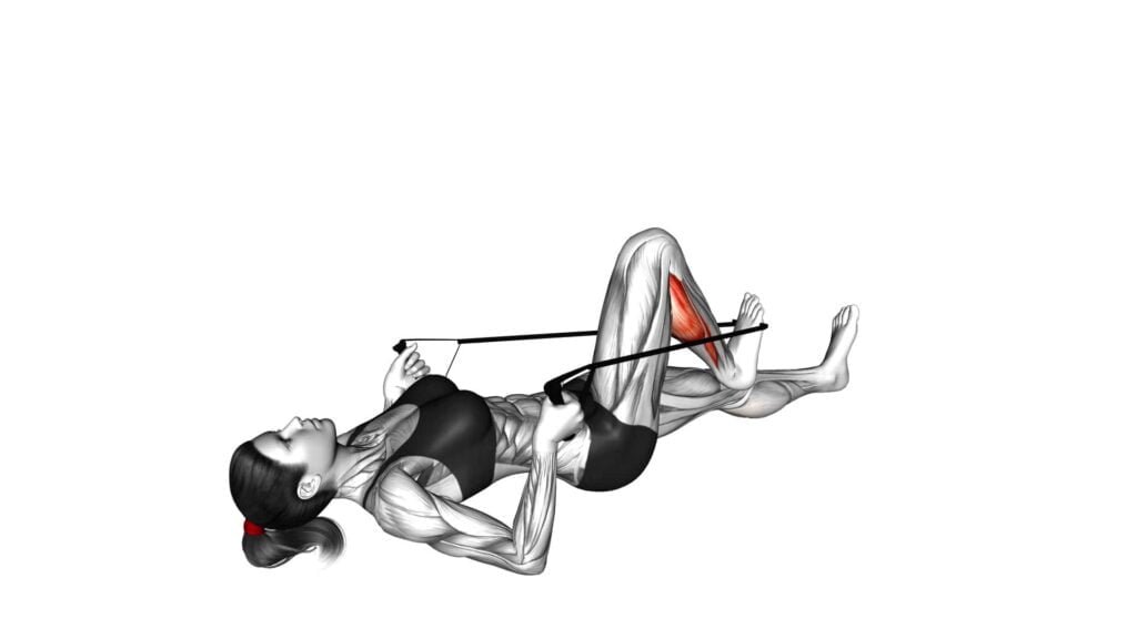 Exercises for Female - Workout Guru