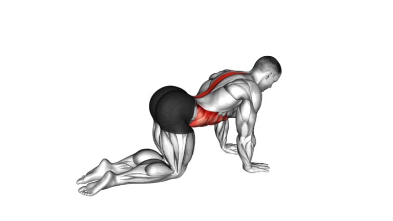 Cat Cow Stretch - Improve Flexibility With This Video Guide