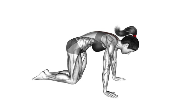 Cat Stretch (male): Video Guide & Tips For Effective Exercise