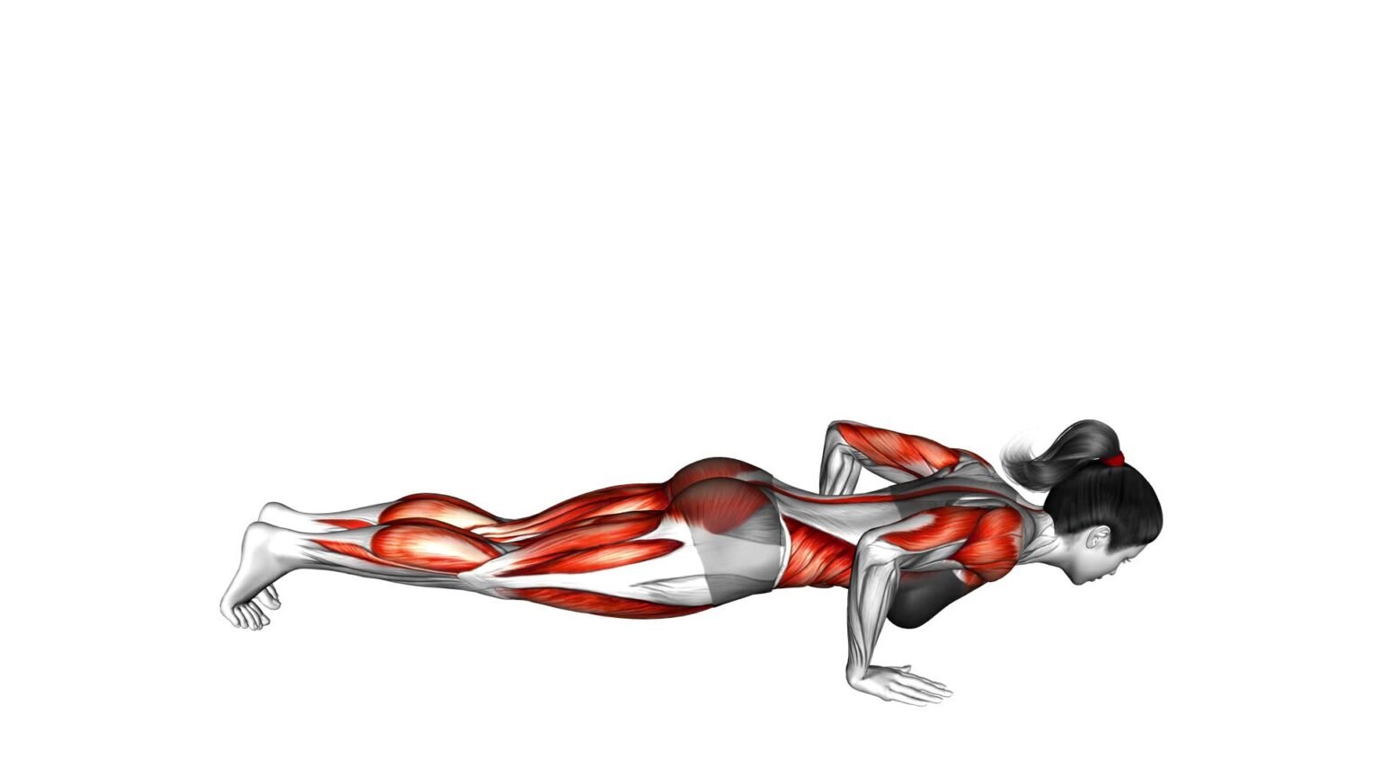 Chaturanga Pose (female) - Video Guide & Tips