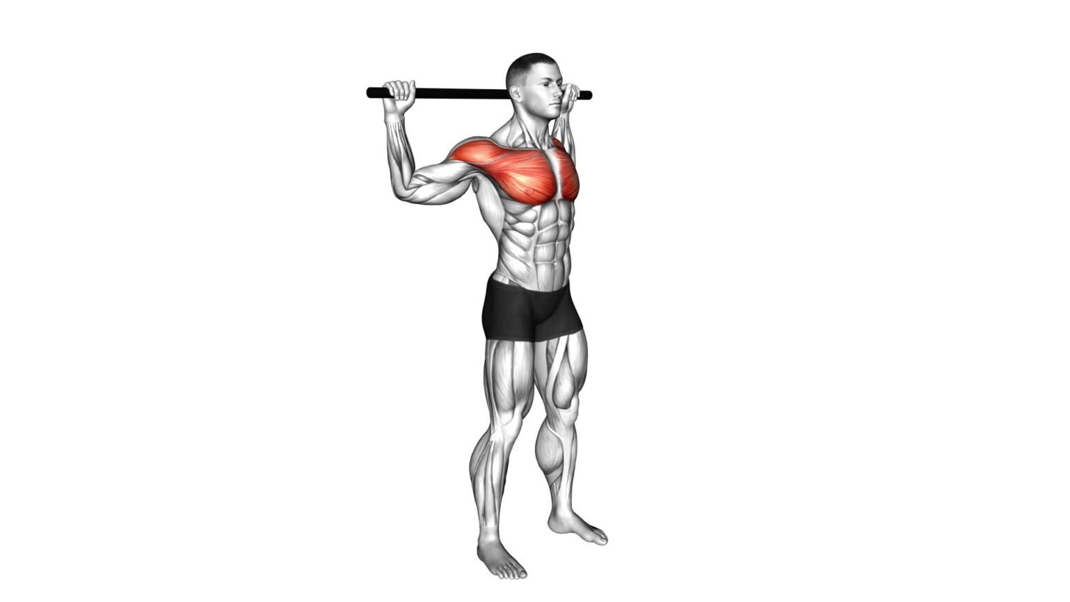 Across Chest Shoulder Stretch - Video Exercise Guide & Tips - Workout Guru