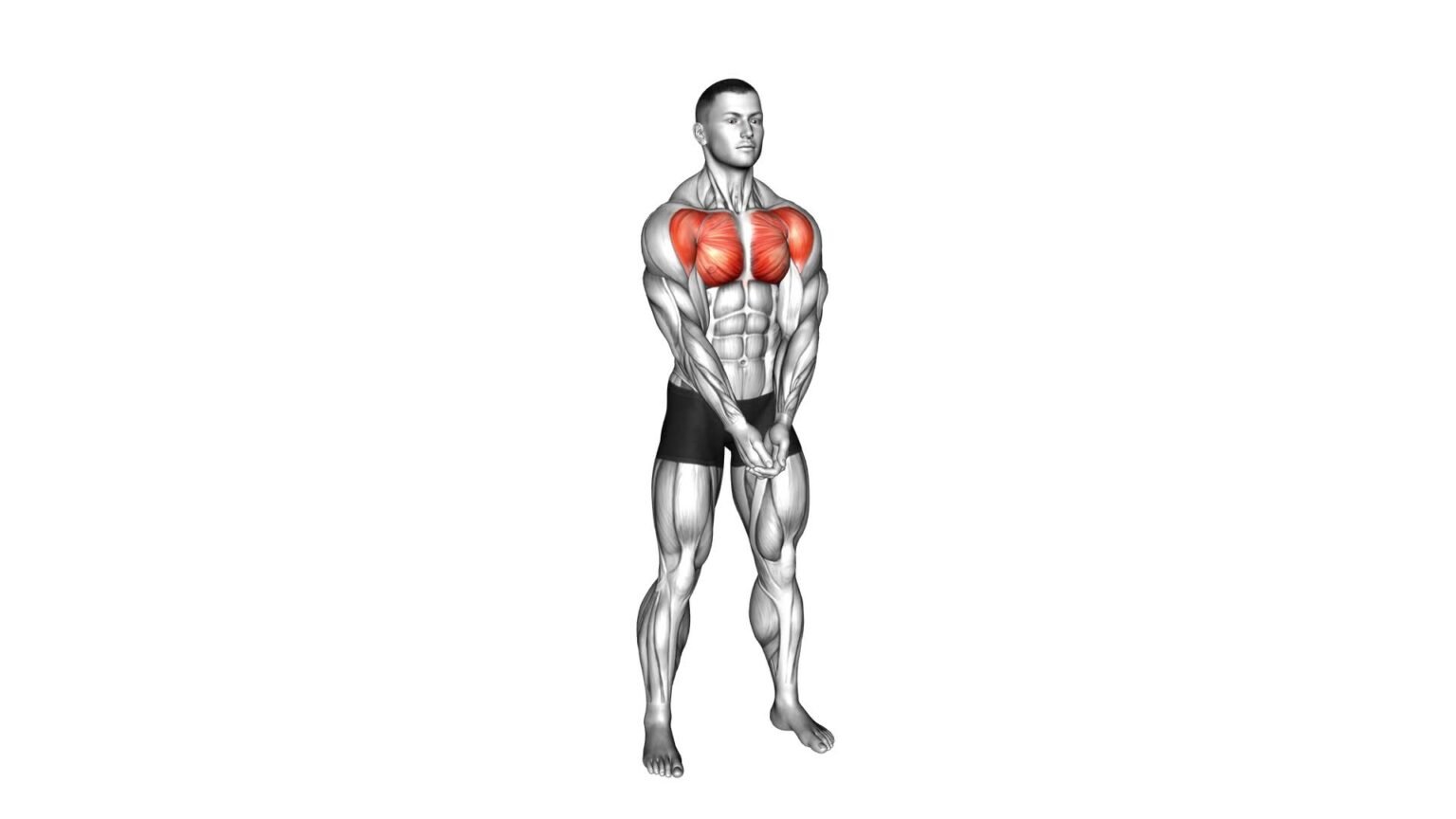 Master The Chest Pressdown (Male) - Video Guide & Tips