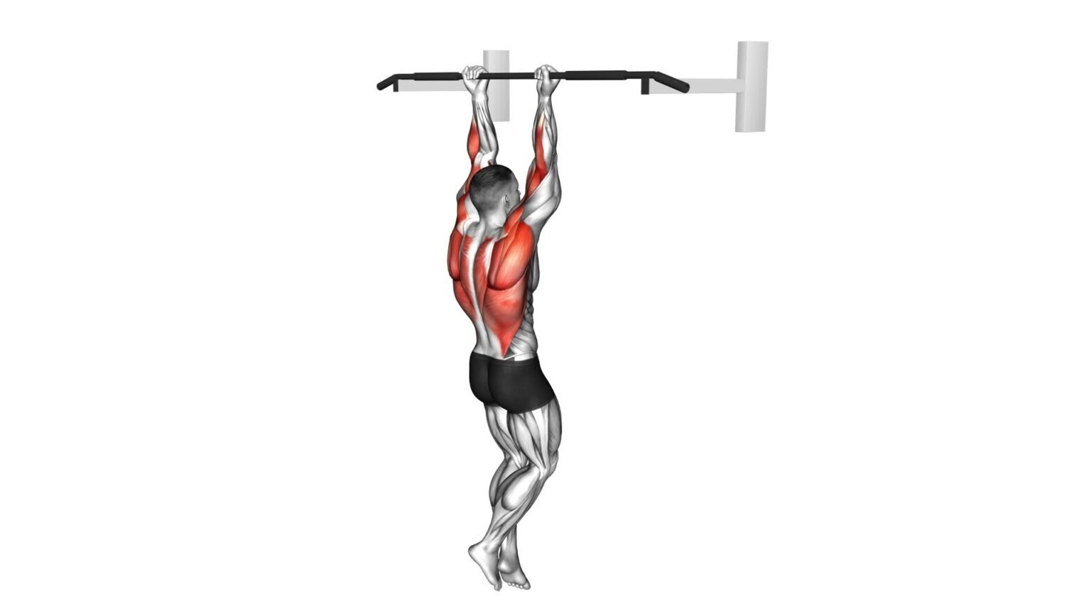 Chin-Up Exercise Guide & Tips: Izometric And Negative Techniques