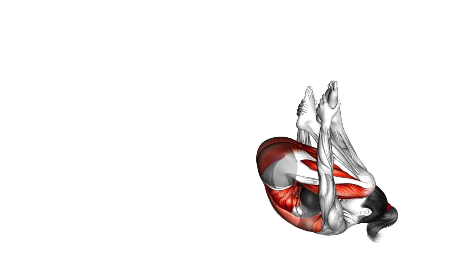 Female Crab Exercise: Video Guide & Tips For A Stronger Core