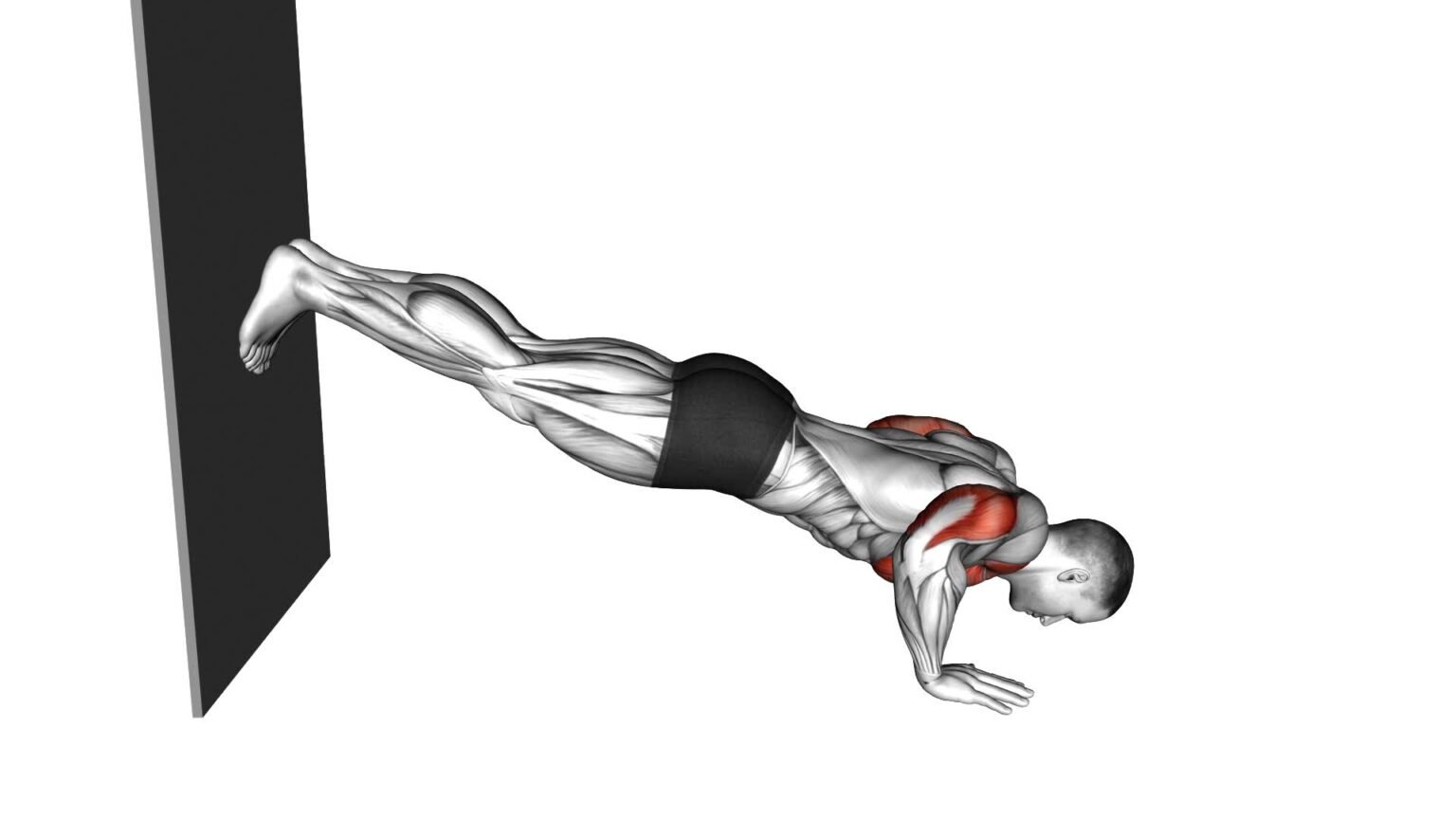 Wall Walks - Ultimate Exercise Guide & Tips