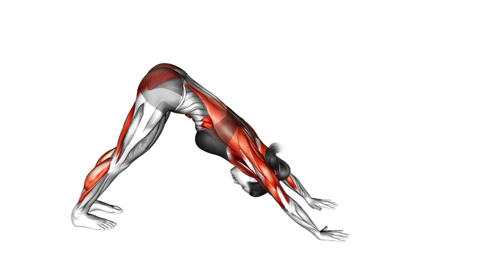Downward Facing Dog: Video Guide & Tips For Perfecting The Pose