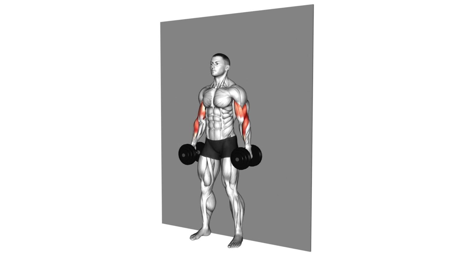 Dumbbell Incline Alternate Hammer Curl - Video Exercise Guide & Tips ... Dumbbell Incline Alternate Hammer Curl - Video Exercise Guide & Tips ...