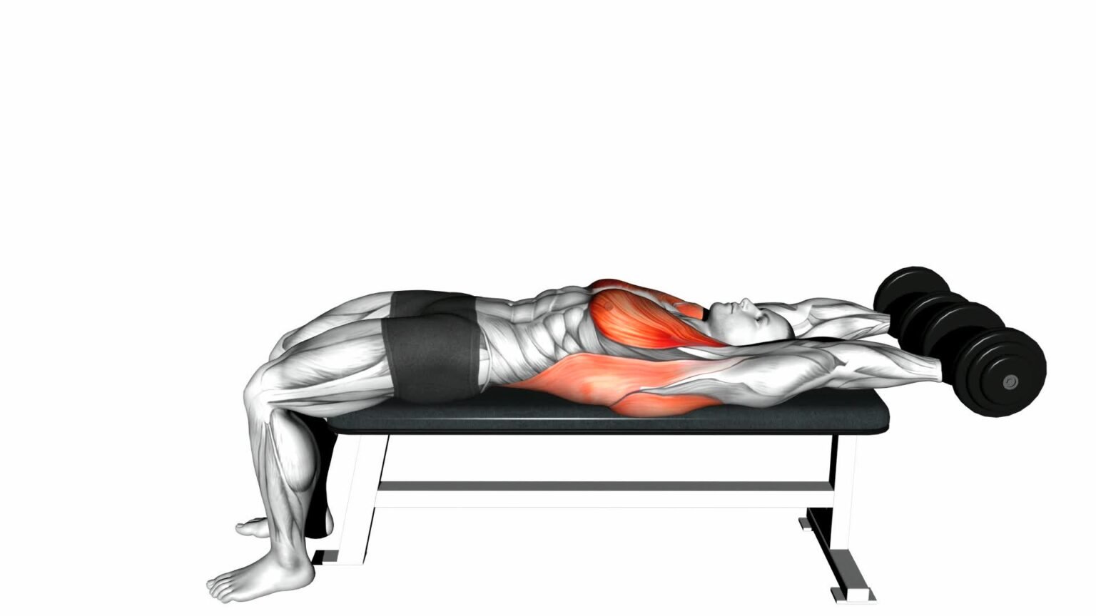Dumbbell Around Pullover: Ultimate Exercise Guide & Tips