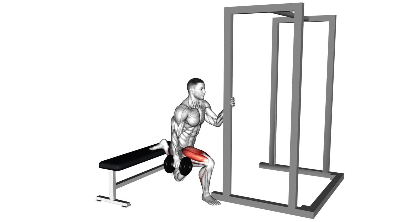 Dumbbell Assisted Bulgarian Split Squat: Video Guide & Tips
