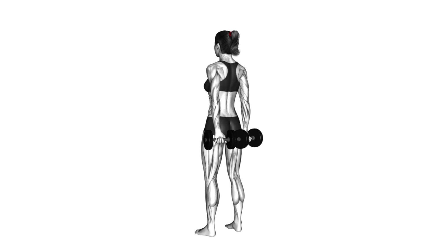 Dumbbell Behind Back Finger Curl: Ultimate Guide & Tips