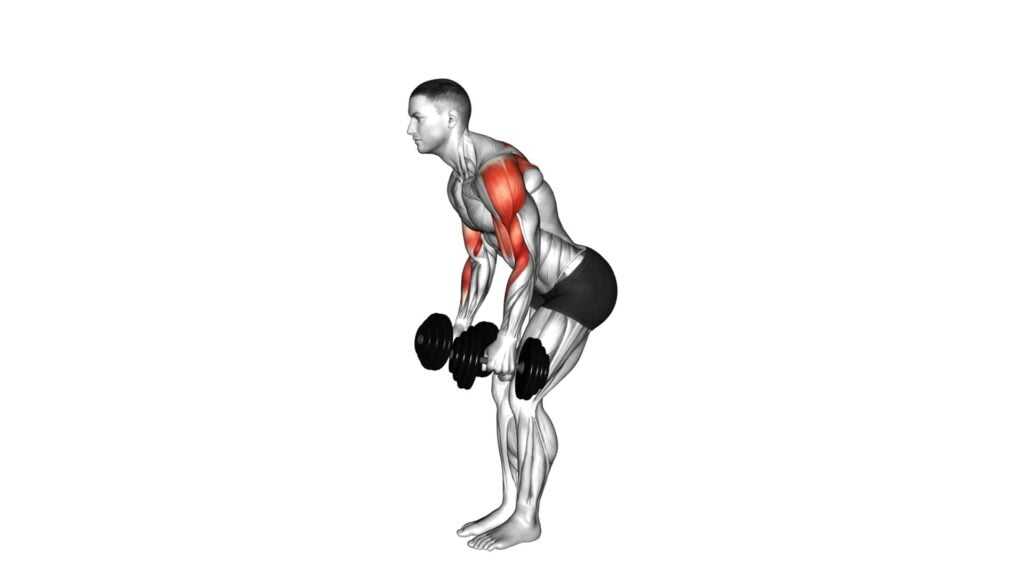 Ultimate Upper Body Workout: Dumbbell Bent Over Reverse Fly To Hammer ...
