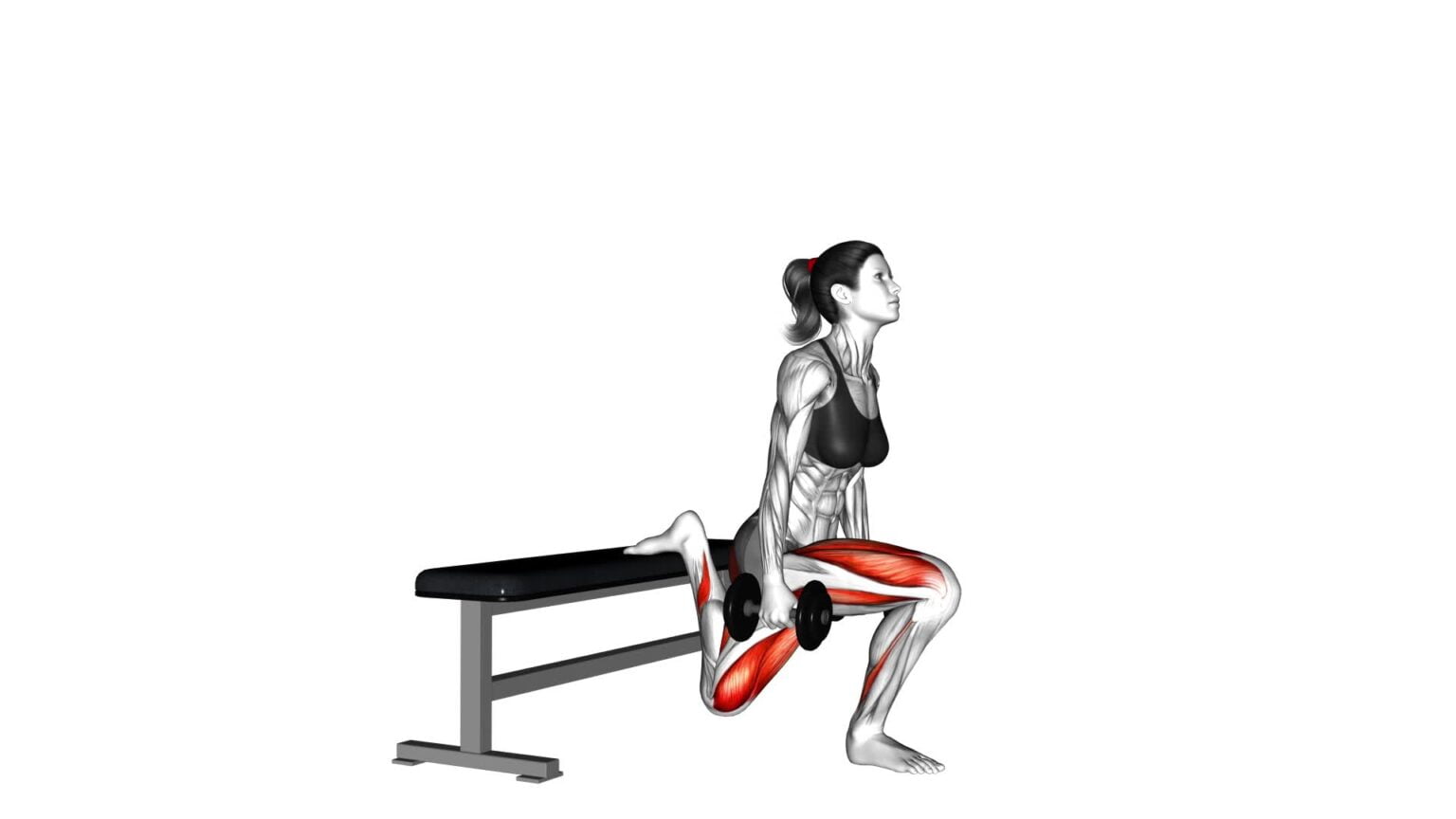 Dumbbell Bulgarian Split Squat (female) - Exercise Guide & Tips